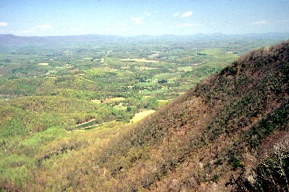 Natural History : Blue Ridge Heritage